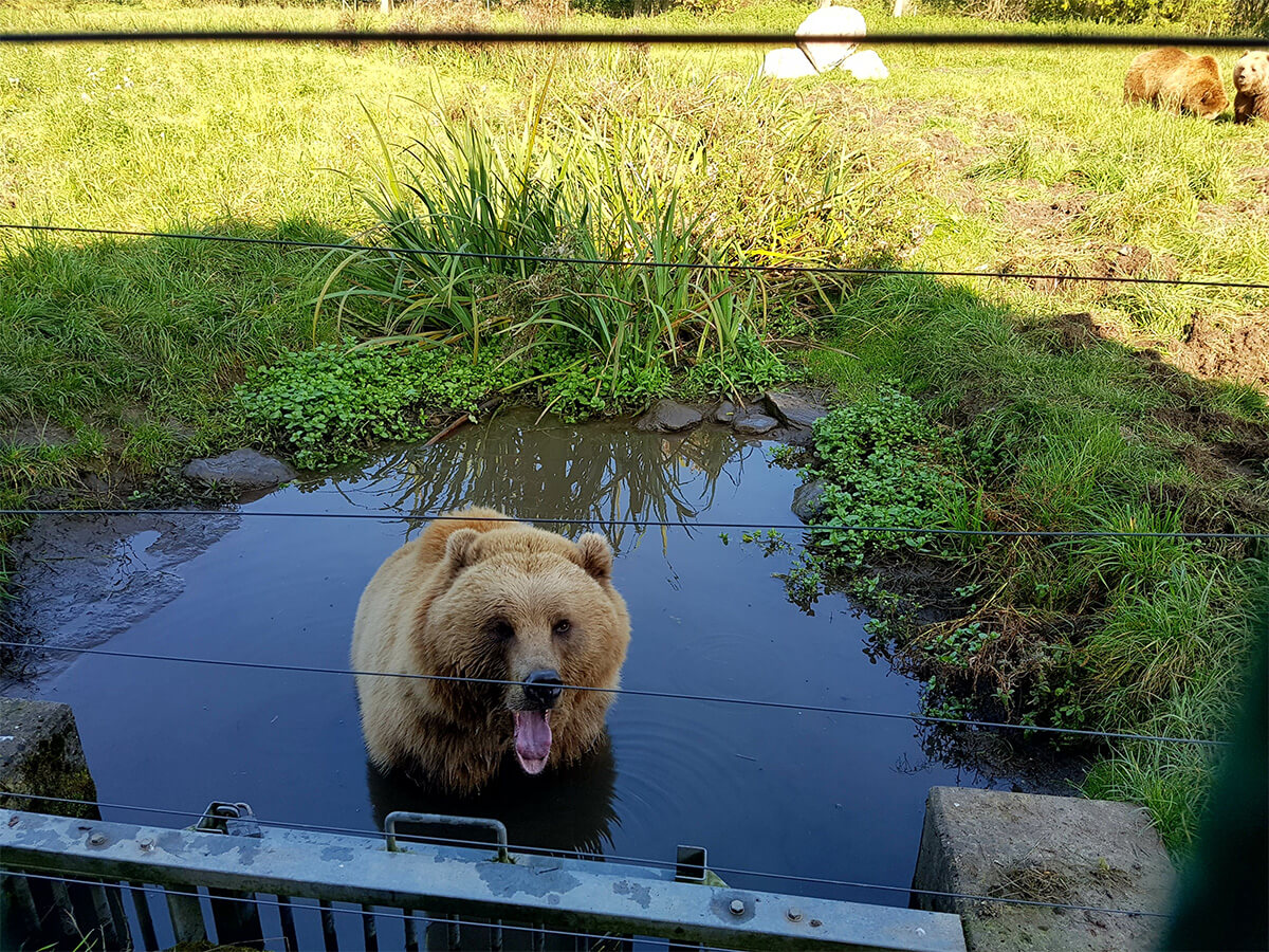 Wildpark Poing – Urlaub in Deutschland